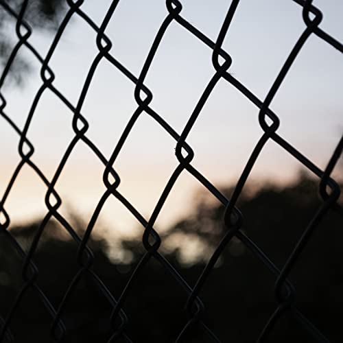 @aliciafishmusic | Instagram, TikTok | Linktree