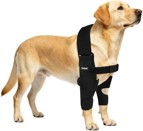 Amazon.com: Dog Elbow Brace Protector with Decoupled Chest Strap ...
