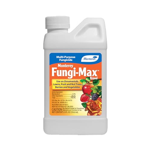 Best Fungicides for Effective Rust Fungus Control in Gardens – Morgan ...