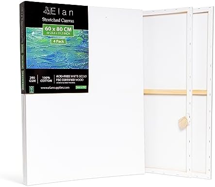 Amazon.com: Pre Stretched Canvases for Painting 24x36 2 Pack Large ...