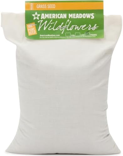 Amazon.com : Micro Clover Ground Clover Seeds (5 lbs.) : Patio, Lawn ...