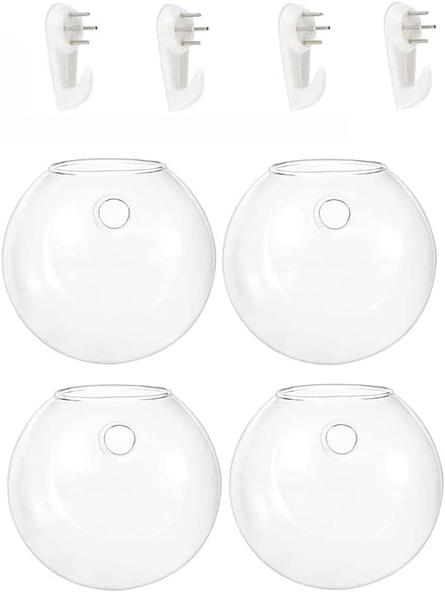 Set of 4 Round Glass Planters for Air Plants and Australia | Ubuy