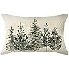 Amazon.com: Ogiselestyle Christmas Winter Trees Lumbar Throw Pillow ...