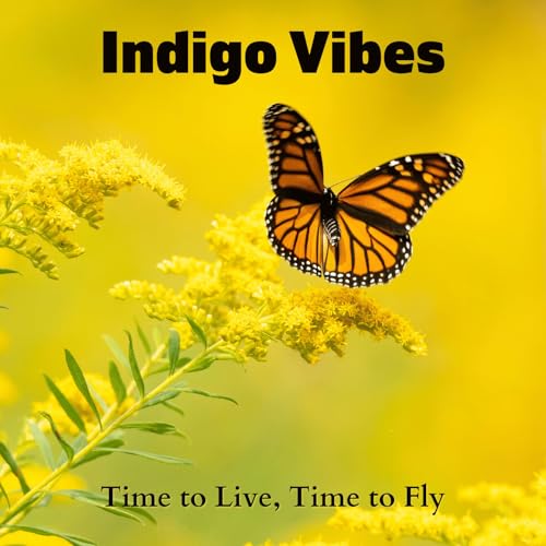 Play Time to Live, Time to Fly by Indigo Vibes on Amazon Music Unlimited