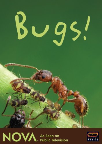 Amazon.com: NOVA: Bugs : Nova, Nova: Movies & TV