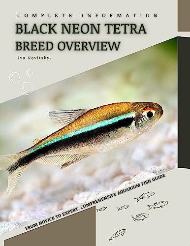 Blauer Neon Paracheirodon simulans - Aquaristik