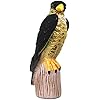 Amazon.com : GiftExpress 13.5" Scarecrow Eagle Falcon Hawk Decoy, Pest ...