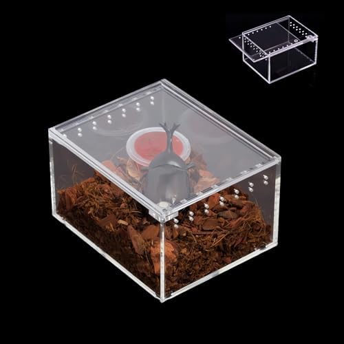 Amazon.com : Insect breeding Box Reptile Feeding Box, Waterproof ...
