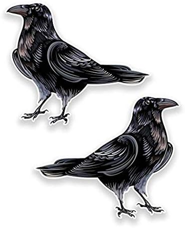 Amazon.com - Raven Crow Vinyl Sticker - Sticker Graphic - Waterproof ...
