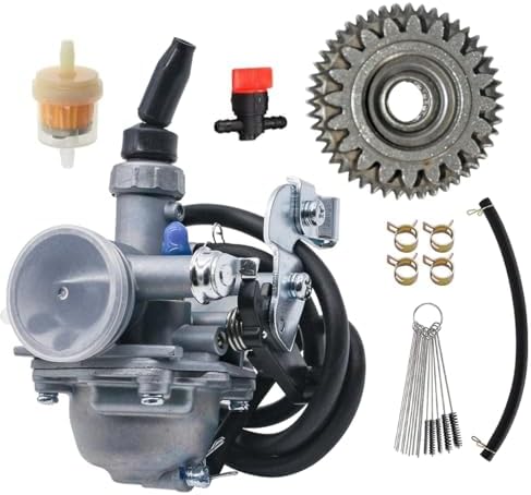 Amazon.com: Rebuiman 0451730 Carburetor with Starter Idle Gear Fit for ...
