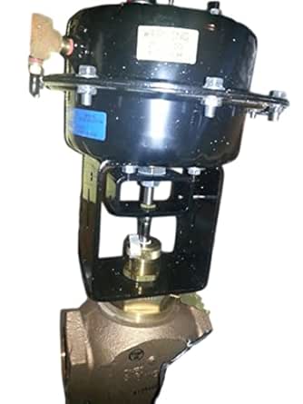Series VG7000 Model VG7441ST Brass Trim Globe Valve with Model ...