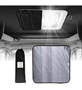 Amazon.com: Living in a Bubble Van Bug Screen for Mercedes-Benz ...