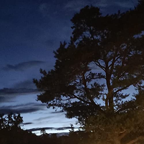Amazon.com: LoFi Nights : Jespi: Digital Music