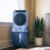 Amazon.com: MasterCool CP90 3-Speed Indoor or Outdoor Portable ...