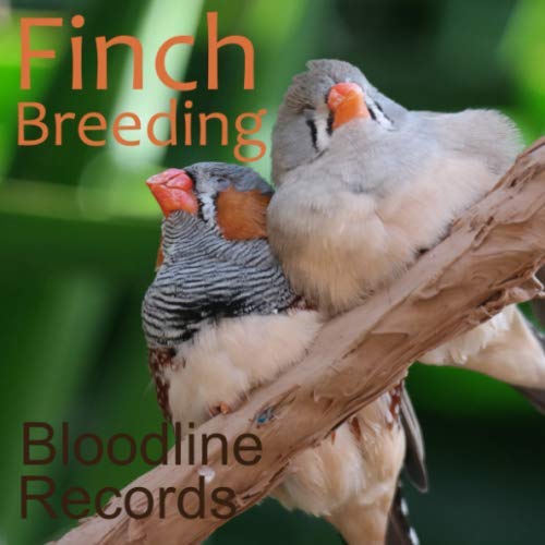 Finch Breeding Bloodline Records: Bird breeding records, bird supplies ...