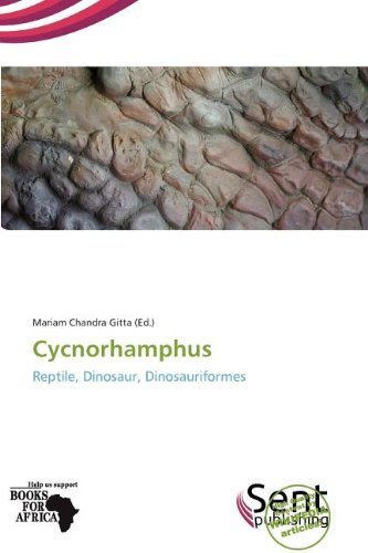 Amazon.co.jp: Cycnorhamphus : 本