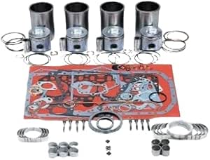 Amazon.com: RG17900 Engine Overhaul Rebuild Kit Standard Size Fits John ...