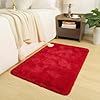Amazon.com: DETUM Small Red Rug 2x3 Fluffy Area Rug for Bedroom Kitchen ...