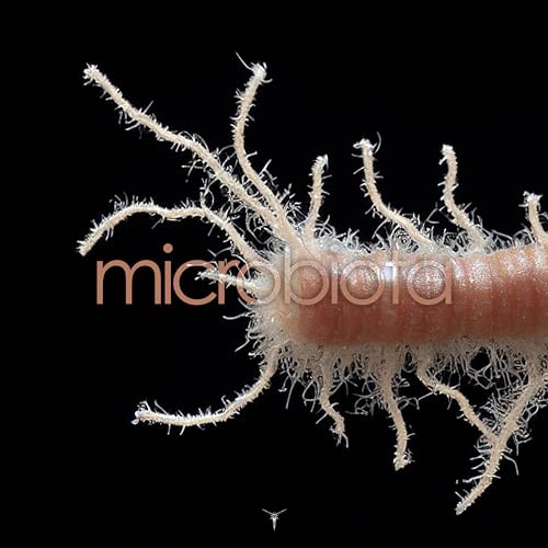 Play Microbiota by Larwa on Amazon Music