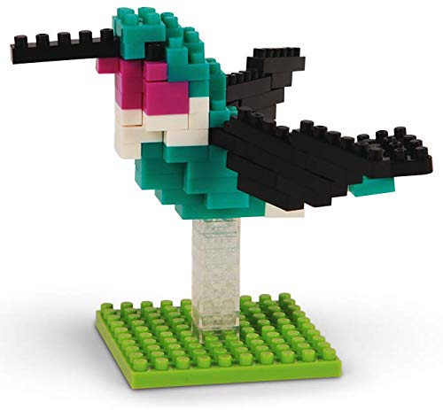 Buy Frog Hummingbird Online at Low Prices in India - Amazon.in