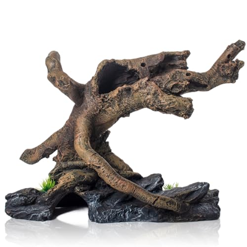 Best Mangrove Tree Fish Tank Decorations and Live Plants for Aquariums ...
