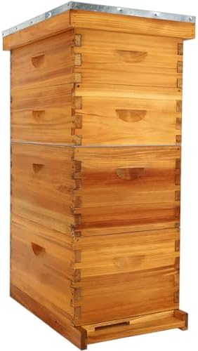 Amazon.com : BeeCastle 10-Frames Complete Beehive Kit, 100% Beeswax ...