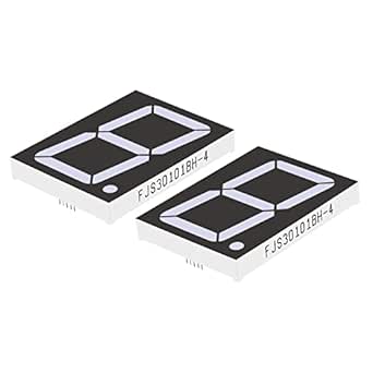 PATIKIL LED Display Digital Tube, 2 Pack 7 Segment 10 Pin 1 Bit 2.6"x3 ...
