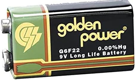 GoldenPower 9v Battery Pack of 10 : Amazon.ca: Health & Personal Care