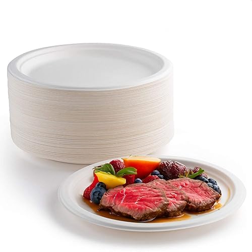 Assiette Jetable Assiette Carton Blanc Biodégradables Sugarcane Bagasse ...