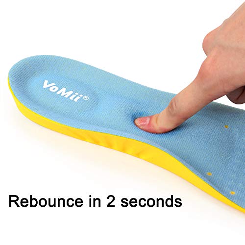 The 16 Best Shoe Insoles For Converse of 2024 [Verified] - Cherry Picks