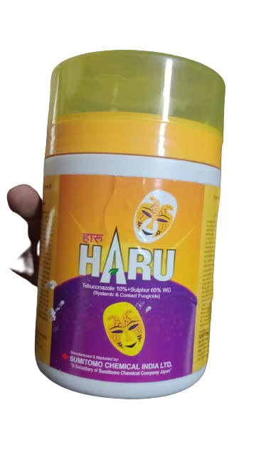 Haru 500g : Amazon.in: Health & Personal Care