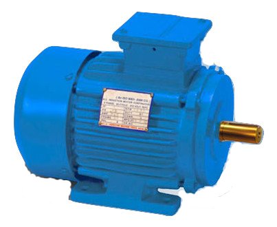 ELMECH MOTORS & CONTROLS Aluminium Electric-3-Phase-Motor (Multicolour ...