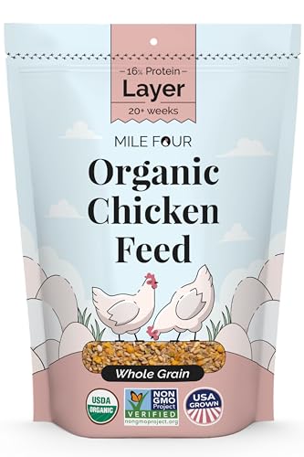 Best Chicken Feed: For Eggs, Meat, Chicks, and More