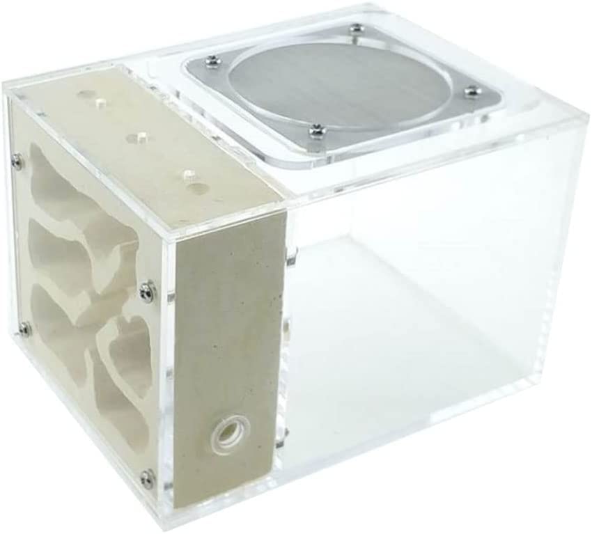 Buy HRTC Ant Farm Castle Ant Castle Gypsum Combination Mixed Nest Ant ...