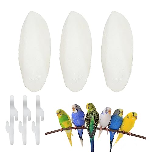 Cuttlefish Bone for Birds with Metal Holder, Cuddle Bone, Bird ...