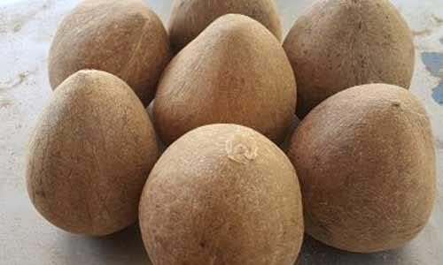 SVE Gola Nariyal Dry Whole/copra/Nariyal Coconut Halves Coconut, Gota ...