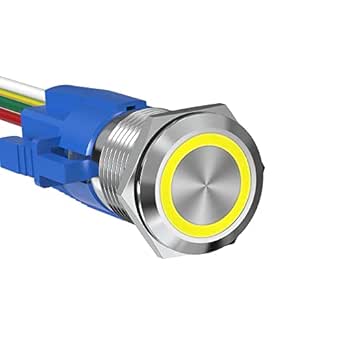 WERKI 19mm Latching Push Button Switch, IP67 Waterproof Stainless Steel ...