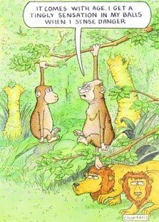 Amazon.com : Humorous Birthday Greeting Card (PLK8601) 'It comes with ...