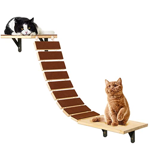10 Best Cat Bridge Walls for Your Feline Friend: A Buying Guide and ...