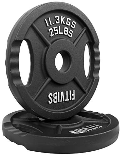 Signature Fitness Olympic 2-Inch Cast Iron Plate Weight Plate for ...