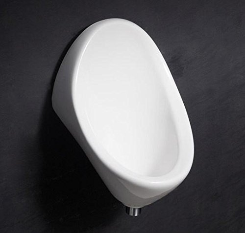 Hindware Small Ideal Standard Urinal (Starwhite) : Amazon.in: Home ...