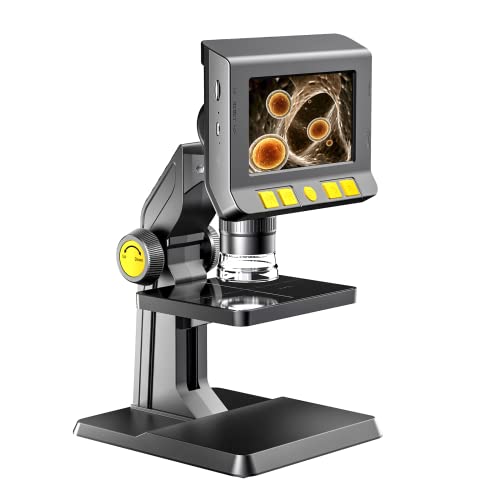 Top 10 Best Digital Microscope With Screen : Reviews & Buying Guide ...