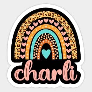 Amazon.com: Sticker Vynil Charli Name Charli Birthday Stickers Vinyl ...