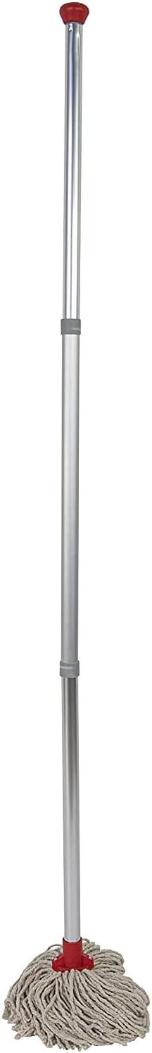 Crown Supplies Professional Colour Coded Mop Handle and 2 Mop Heads ...