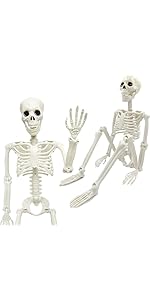 Amazon.com : 5.5Ft Halloween Skeleton Life Size - Full Body Realistic ...