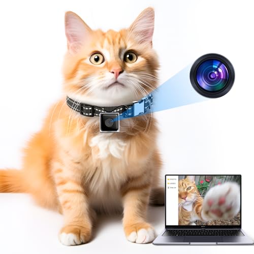 Amazon Best Sellers: Best Pet Cameras & Monitors