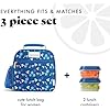 Amazon.com: Fit & Fresh Lunch Bag For Women, Insulated Womens Lunch Bag ...