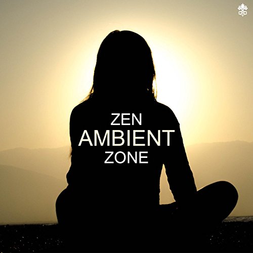 Play Zen Ambient Zone by VARIOUS ARTISTS on Amazon Music
