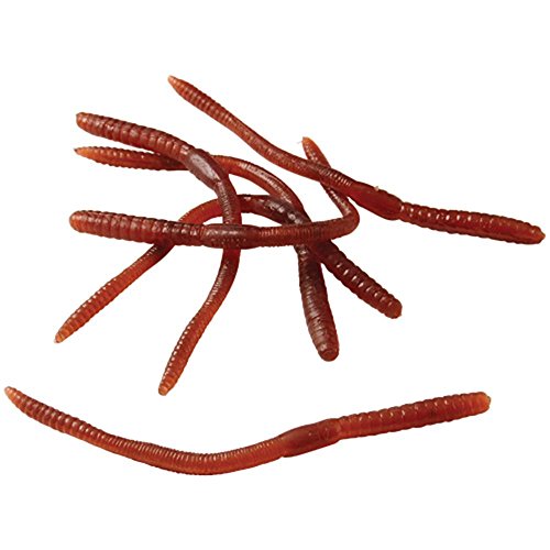 10 Insanely Fun And Squiggly Worm Toys That Will Keep Your Kids ...