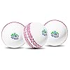 jaspo Synthetic T-20 Plus Practice Cricket Ball/Wind Balls (125-130 Gms ...